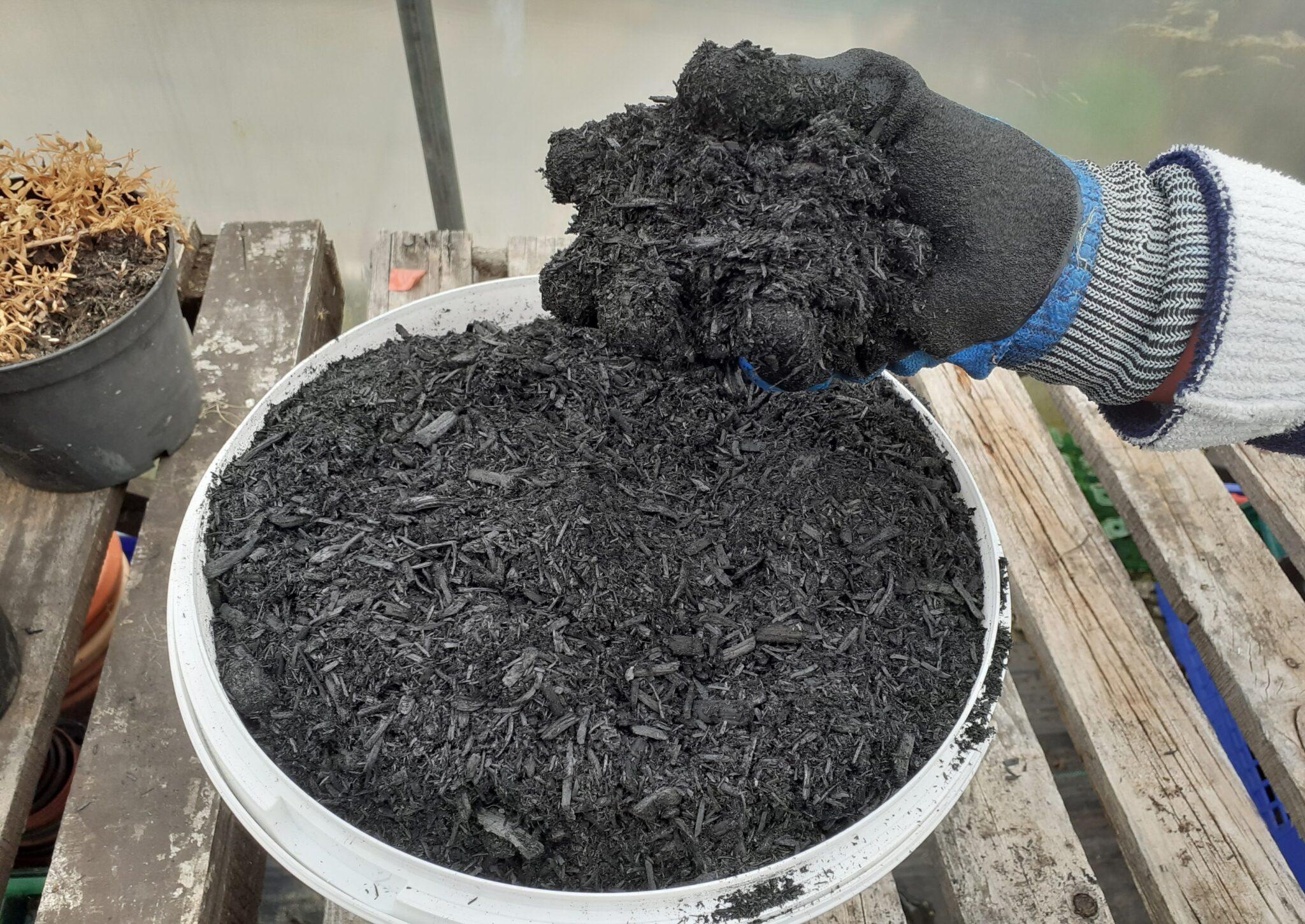 Horticultural Charcoal (Biochar): The Secret to Healthy Soil and ...